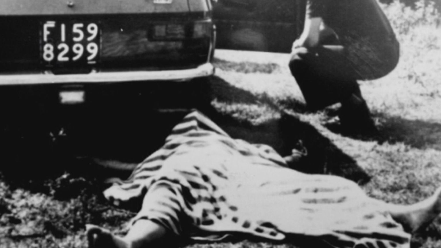 Caso Mostro: spunta una nuova pista - Italia 7